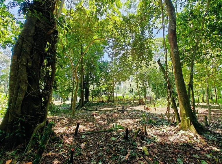 ID 879: Lot 5 - 2237 sqm Creekside Titled Lot Near Playa Grande ...