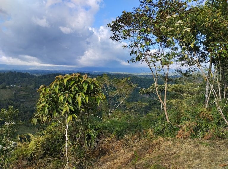 Charming Private Mountaintop home in the perfect climate of San Vito ...