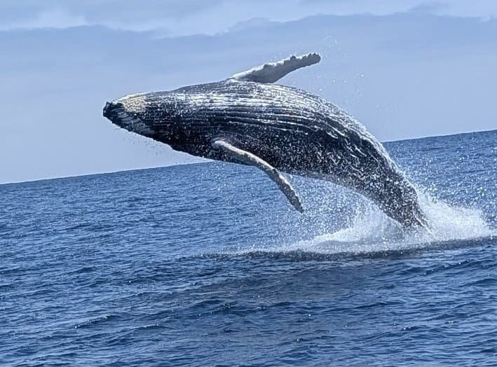 Last updated on : 13 Jan 2026