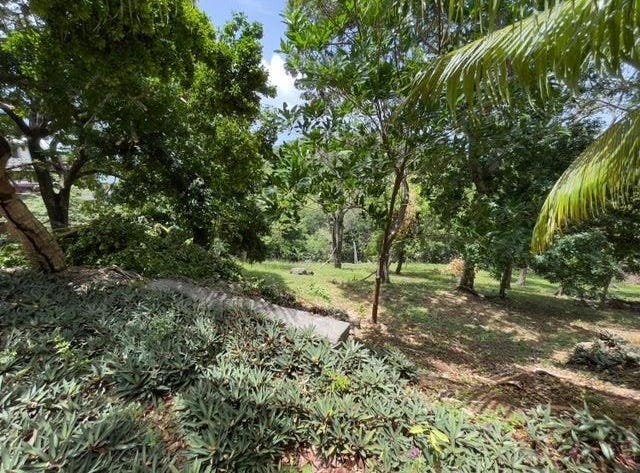 Bodden Bight Estate, Roatan, Islas de la bahía, Roatan, Bay Islands ...