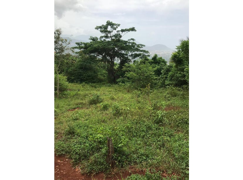 Last updated on : 23 Jan 2026