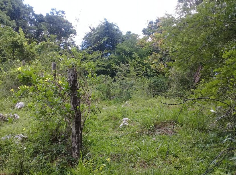 GEORGES VALLEY, MANCHESTE, Mandeville, Manchester Parish Land for Sale ...