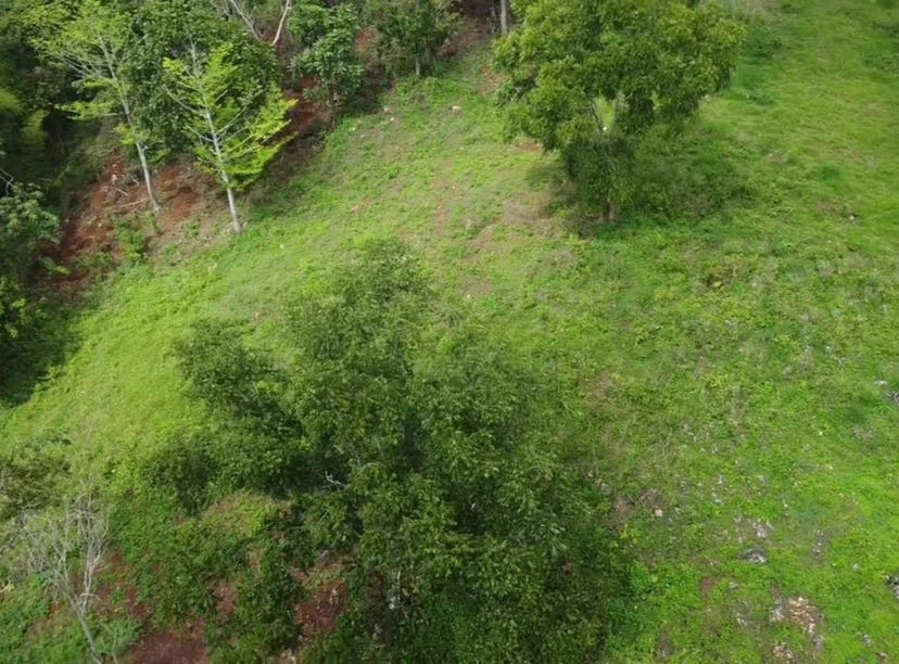VIRGINIA LAND SETTLEMENT,, Bombay, Manchester Parish Land for Sale ...