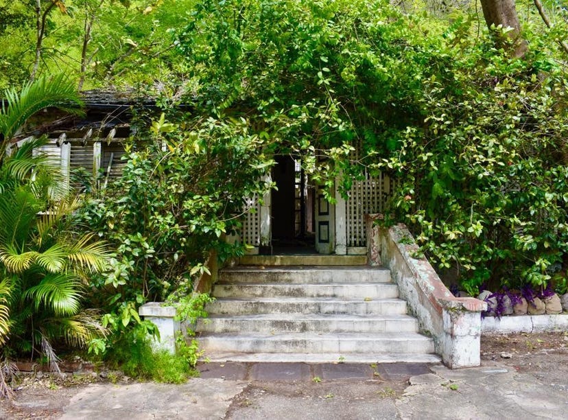 GORDON TOWN, Gordon Town, St. Andrew Parish Land for Sale - realtor.com