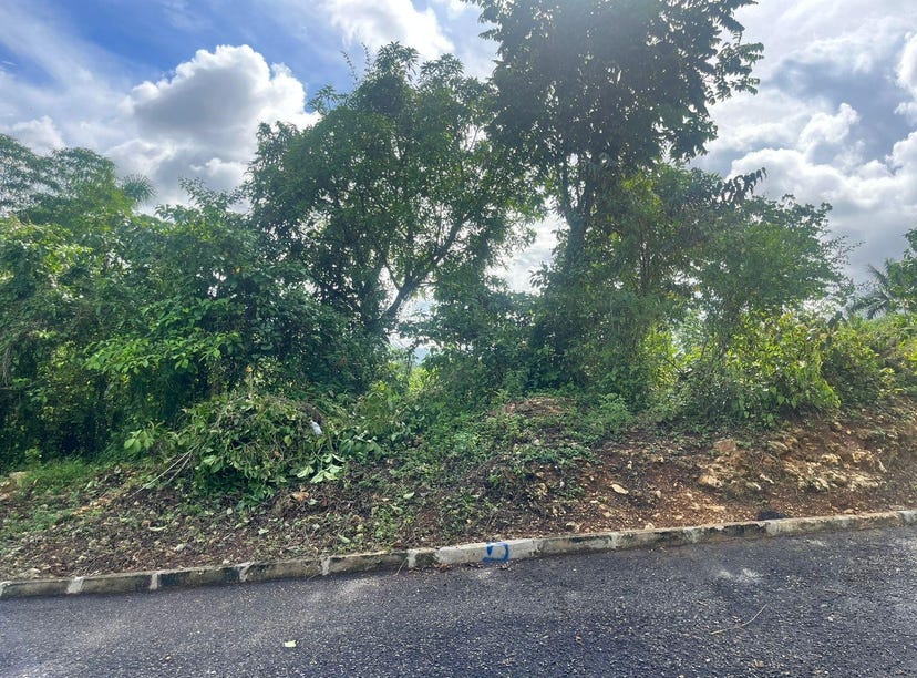 4XCW+4CQ, Church Rd, Tulloch, Jamaica, Linstead, Saint Catherine Parish ...