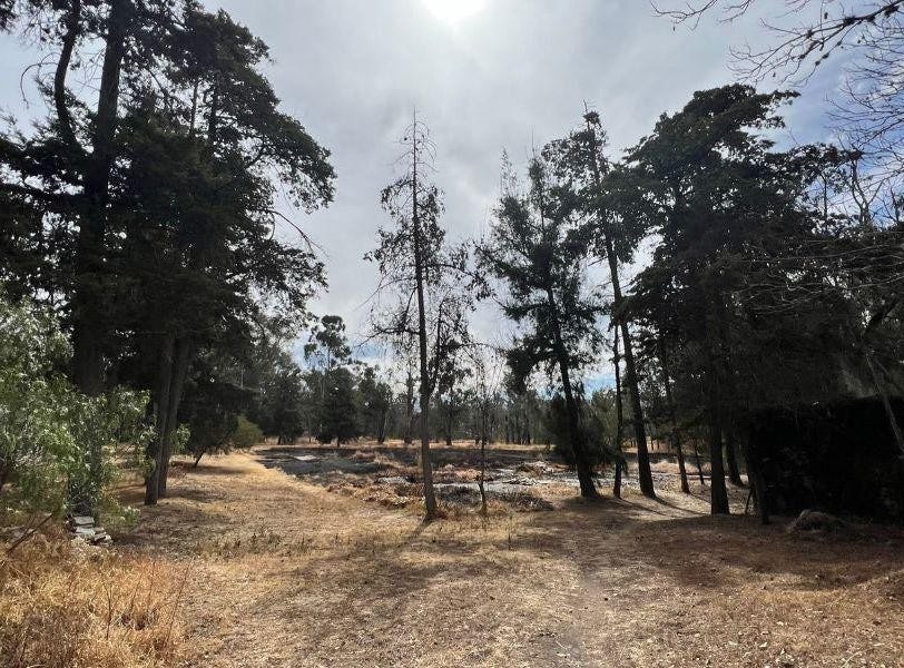 Plazuela 2 de Abril, Chalco, Mexico City 56647 Land/Development for ...