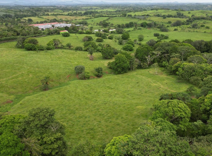 EL ARADO, VÍA EL LIRIO EN RIO CONGO, LA CHORRERA, PANAMA, La Chorrera ...