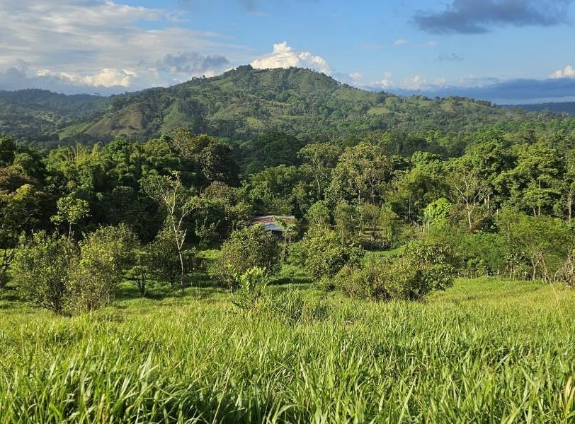 Renacimiento, Breñon, Quebrada de vuelta, Renacimiento - Breñon ...