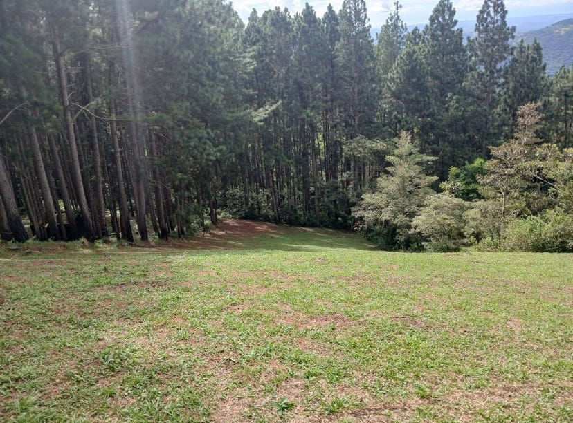 Altos del Maria, Panama, Panama City Land/Development for Sale ...