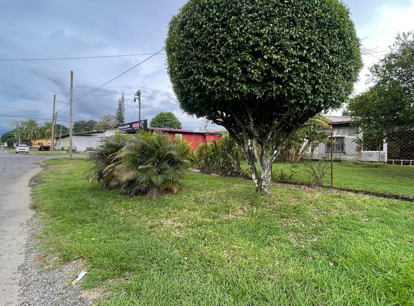 David, Chiriquí, Chiriqui Montaña - David, Chiriquí, Chiriqui Montaña ...