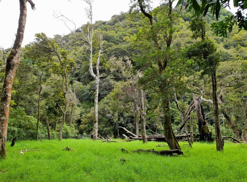 Cerro Punta, Cerro Punta, Chiriqui Land/Development for Sale ...