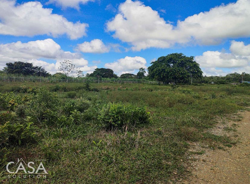 Dolega District, Dolega District, Chiriqui Landesentwicklung zum Kauf ...