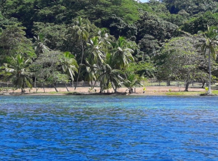 JC9F+6W, Garrote, Colón Province, Panama, Puerto Lindo, Colón Land ...