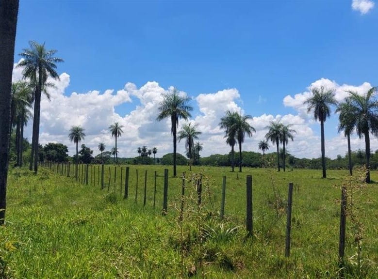 Last updated on : 15 Jan 2026