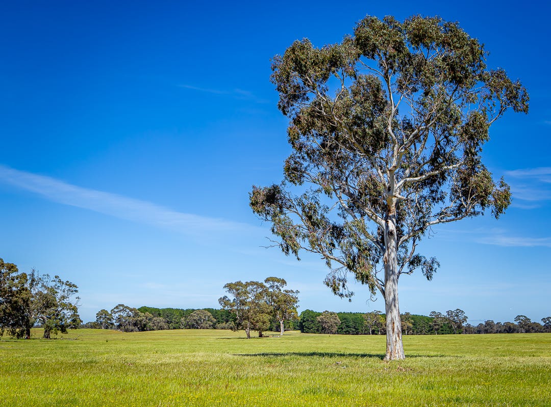 Last updated on : 12 Nov 2025