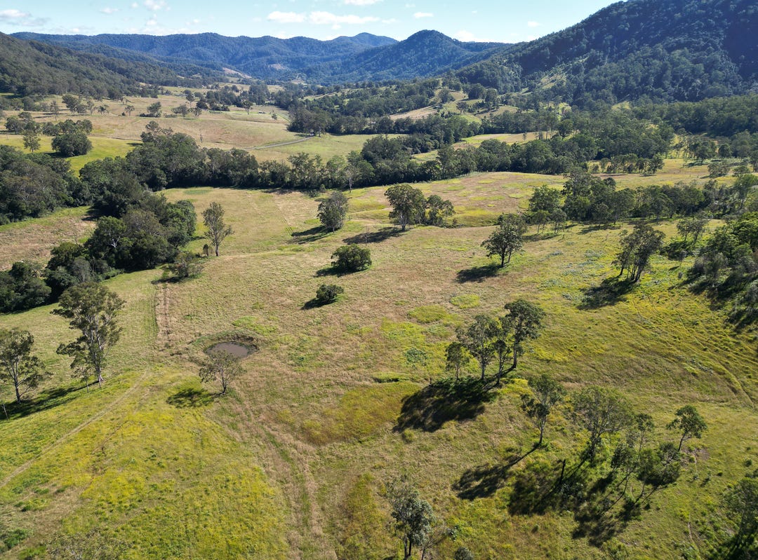 2960 Pipeclay Road, Kindee, NSW 2446 Rural for Sale - realtor.com