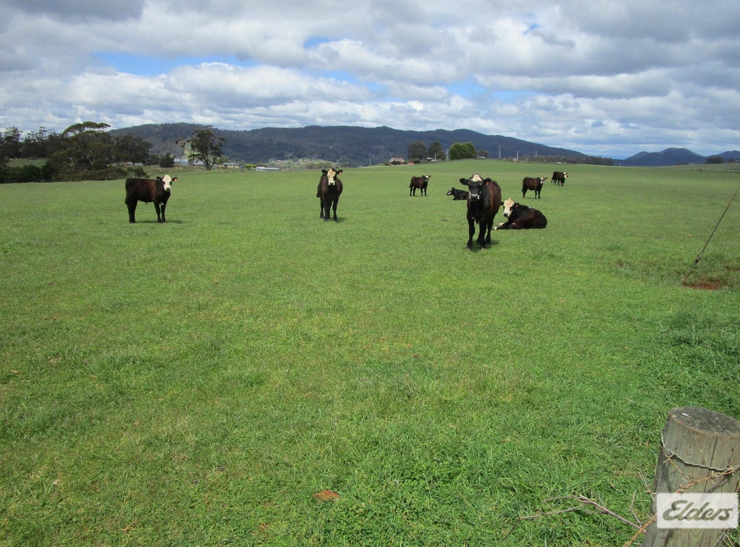 921 Melrose Road, Melrose, Tas 7310 Rural en venta - realtor.com