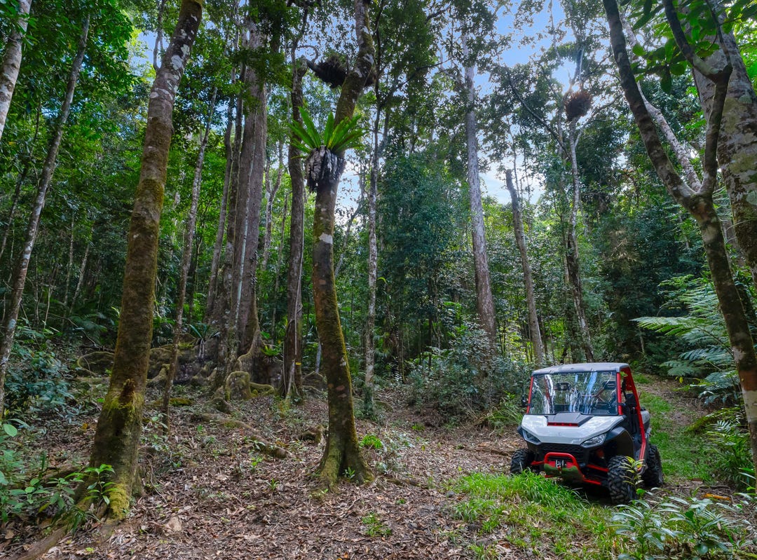 1015 Kennedy Highway, Kuranda, Qld 4881 Rural for Sale - RealEstate KH