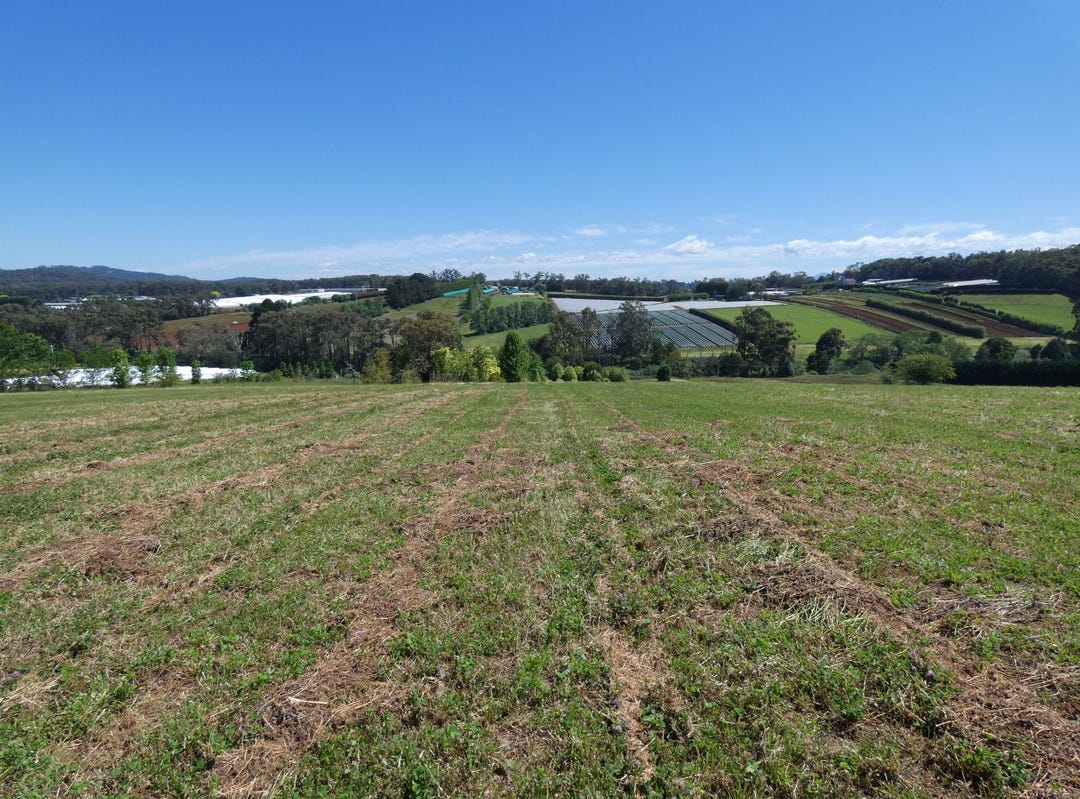 1, 95 Macclesfield Road, Monbulk, Vic 3793 Rural for Sale - RealEstate KH