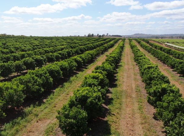 Red Farm, Glenrae Dip Road, Glenrae, Qld 4626 Commercial Farming for ...