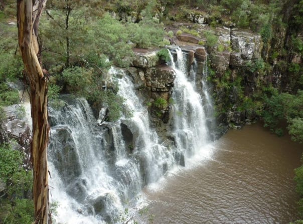 455 Red Rock Road Via, Drake, NSW 2469 Rural for Sale - realtor.com